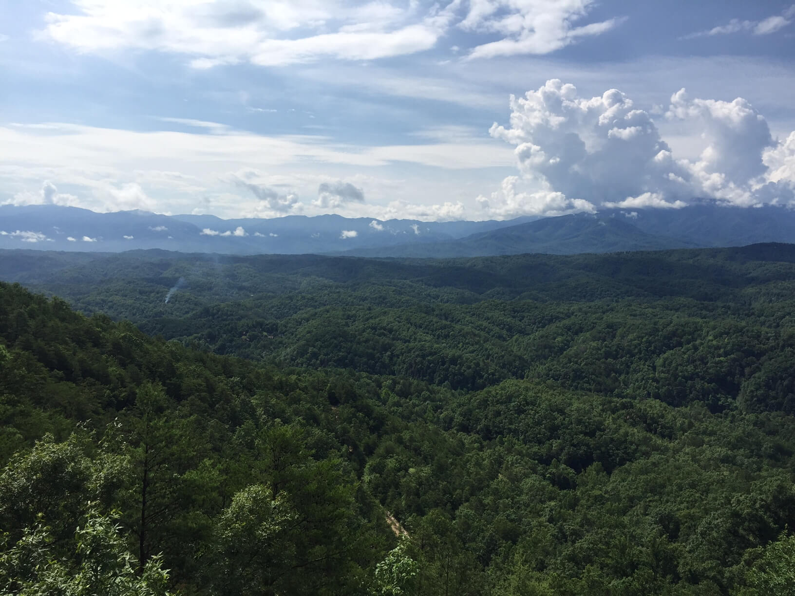View from the Top Cabins